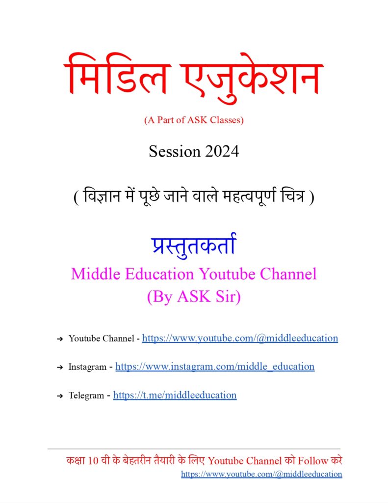 All Board Class 10 Science Important Biology Diagrams For Board Exam ...